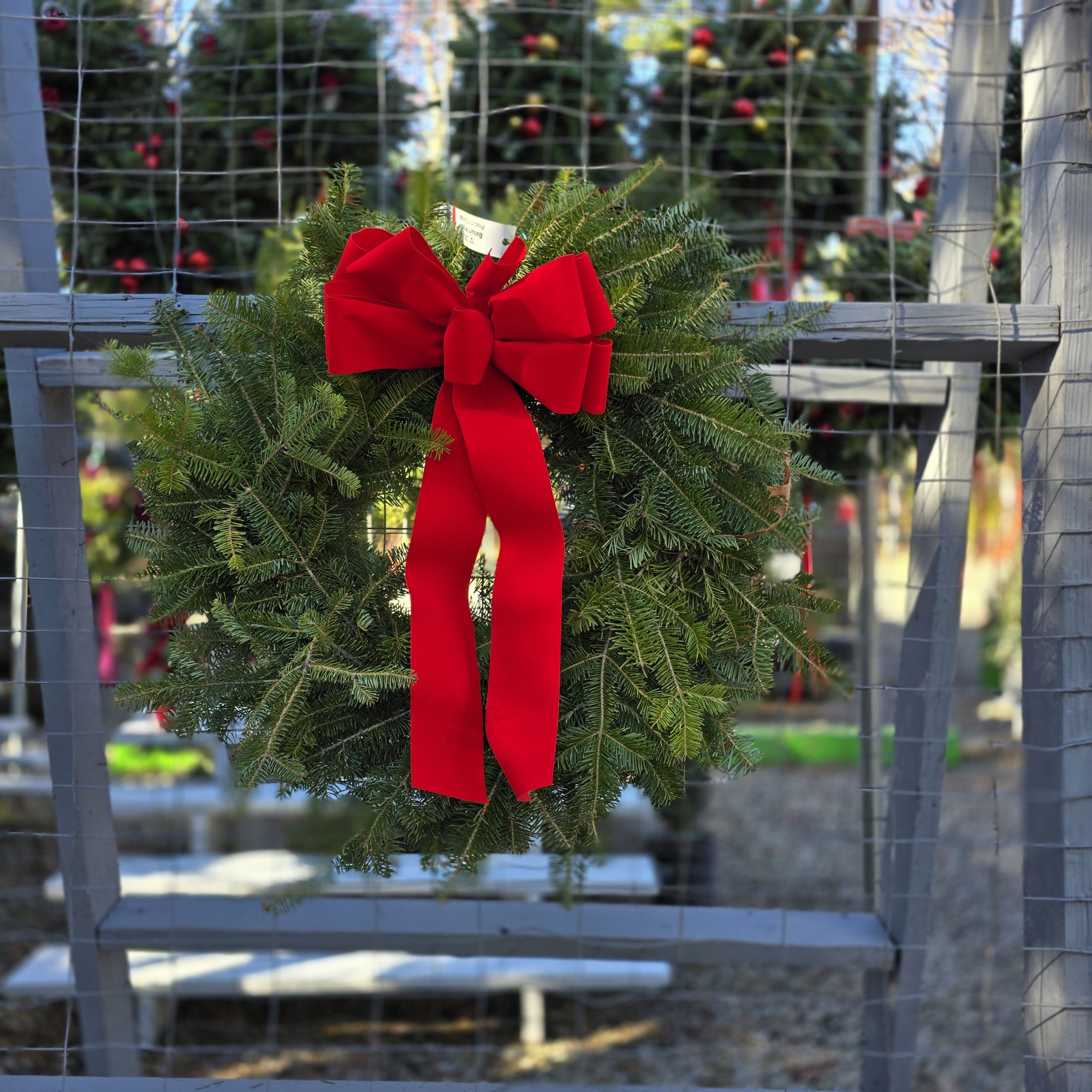 Wreaths with red bow by Paramount Floral Designs of Cape Cod