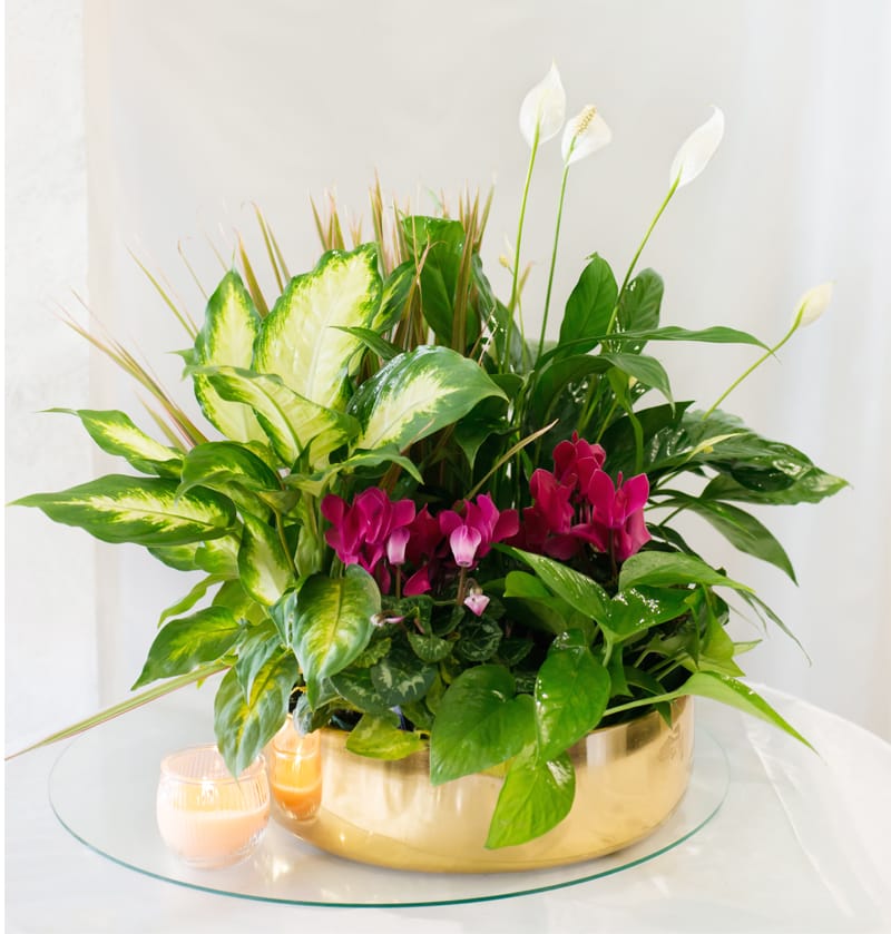 European Gardenby Riverside Kello Floral