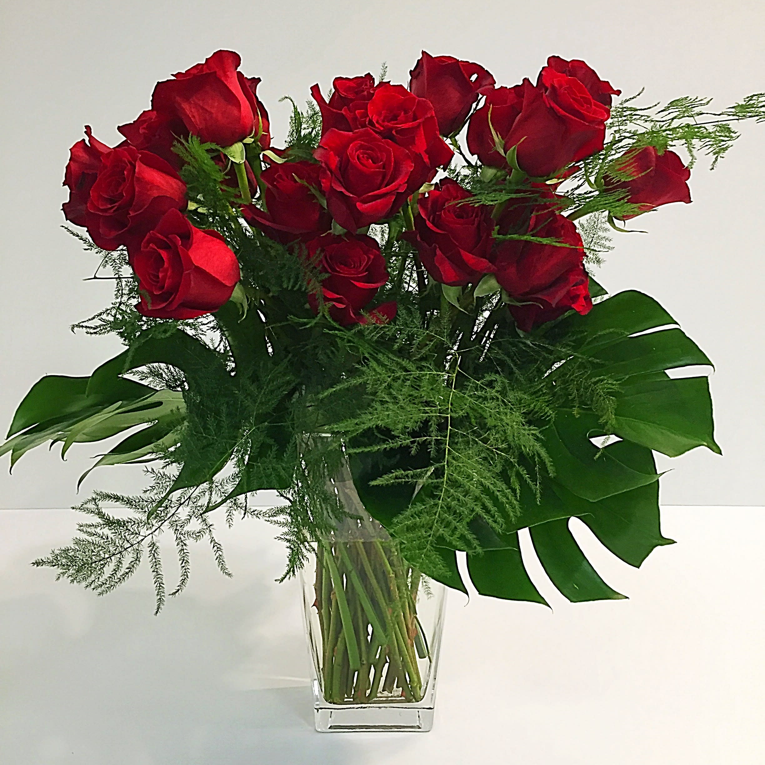2 Dozen Long Stem Red Passion Roses Xl By Be A Tall Poppy