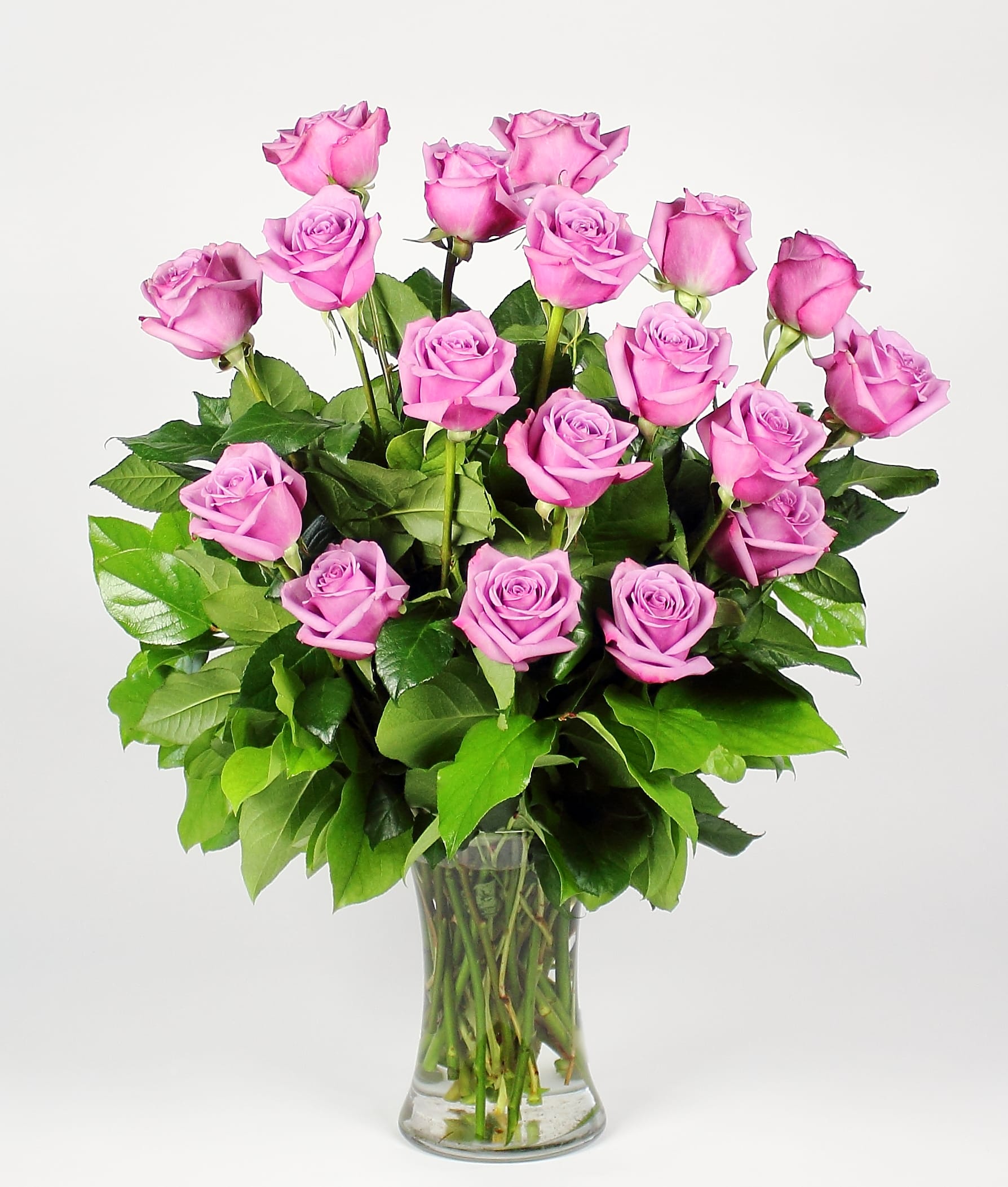 Lavender Roses (18) in Saint Paul, MN | Iron Violets Design Studio