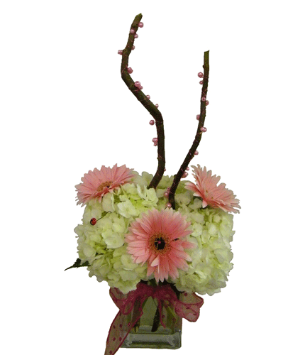 Pearls and Petalsby Ladybug's Flowers And Gifts Inc