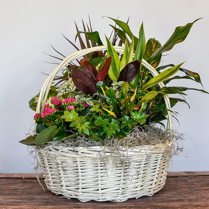 European Garden-Large in New York, NY | Anthony Flowers