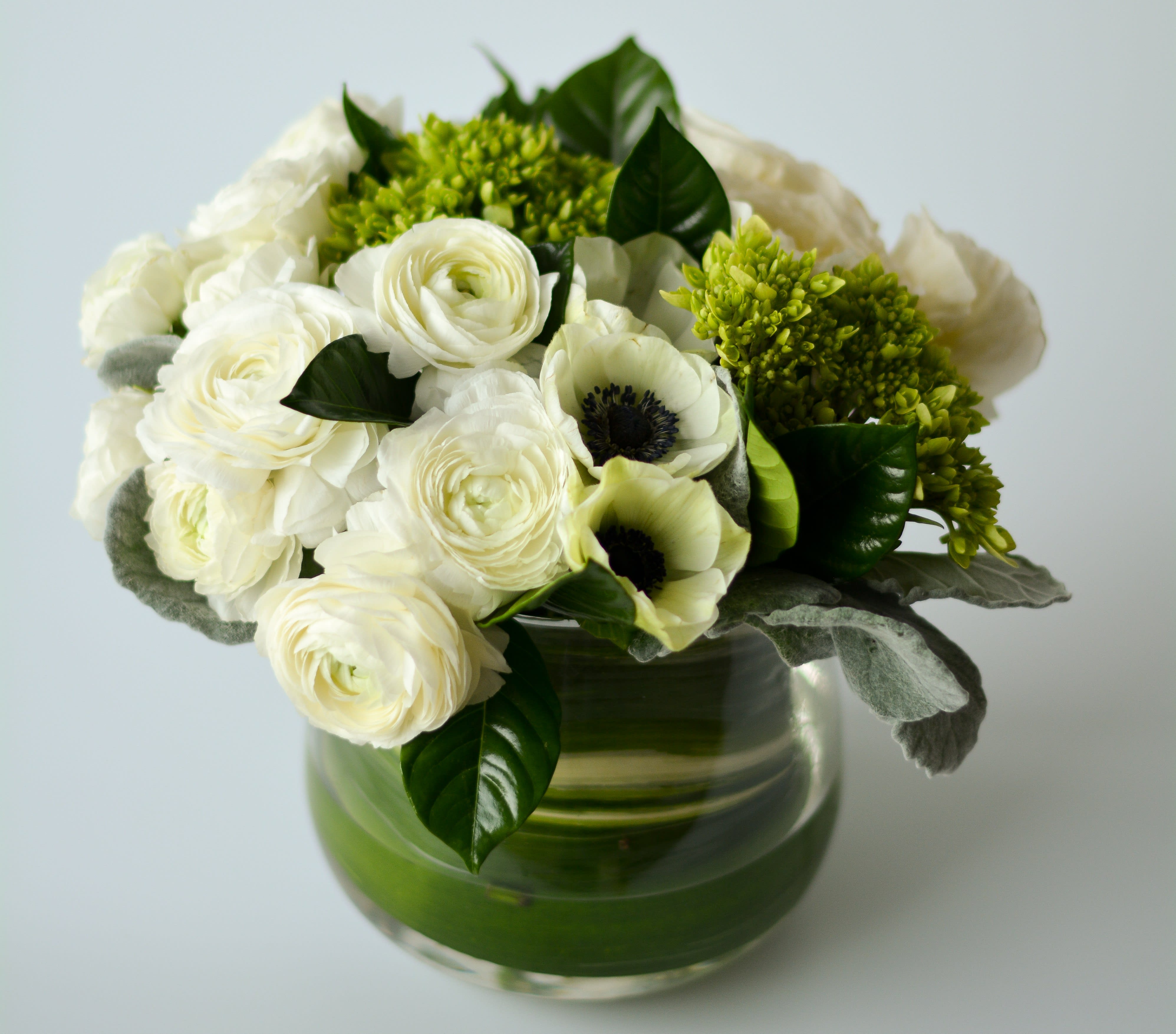 ivory in Boston, MA | Fresco Flowers