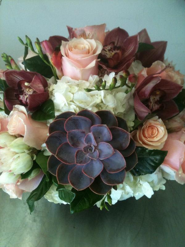 succulent arrangement in San Francisco, CA | Seti Flowers