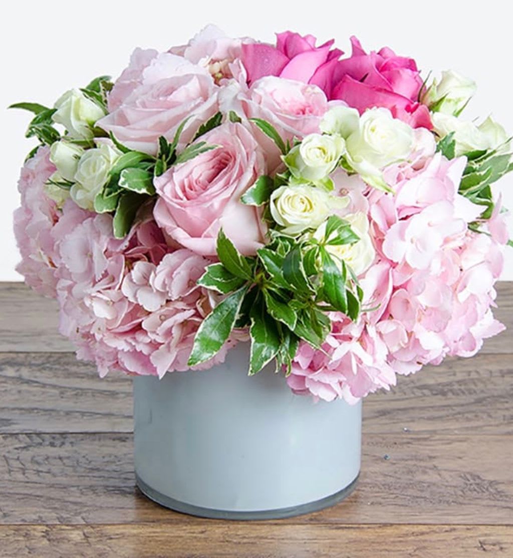 Cotton Candy in Wilmington, DE | Petals Flowers and Fine Gifts