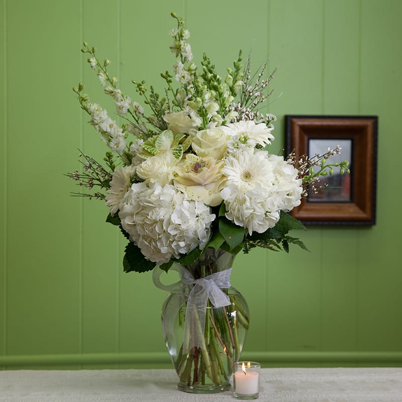 Genestra Flower | Best Flower Site