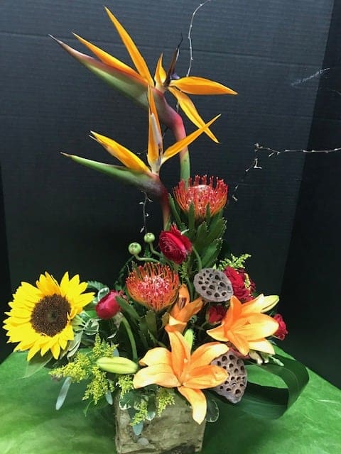 Flowers In Frederick Md | Best Flower Site