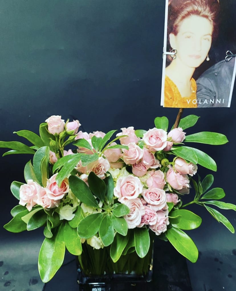 JOSEPHINE in Washington, DC | Volanni