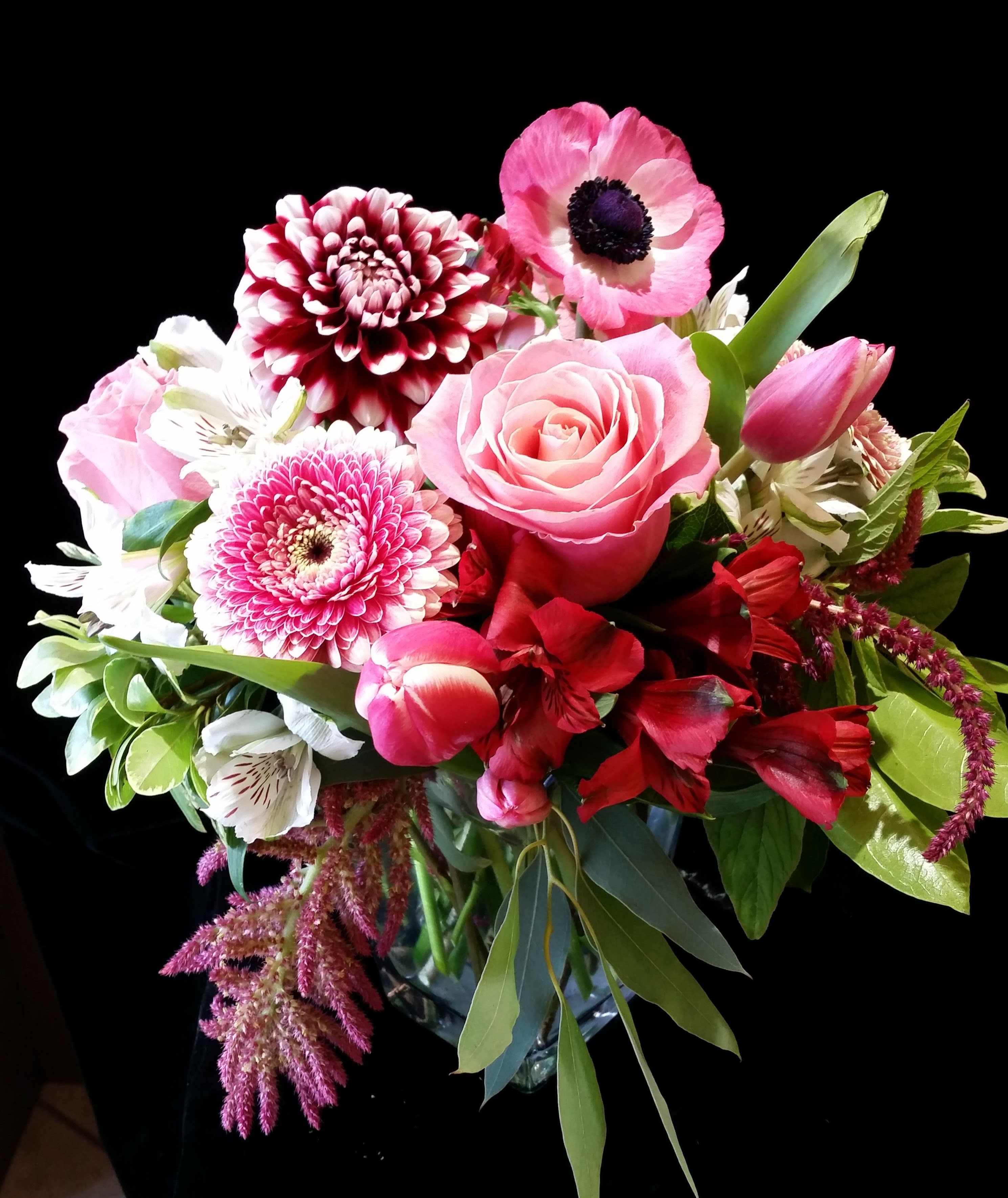 Vermillion in Newton, MA | The Crimson Petal Inc.