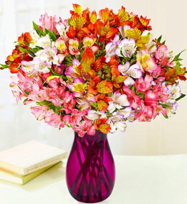 100 Blooms of Peruvian Lilies in West Palm Beach, FL | Glamour Flowers
