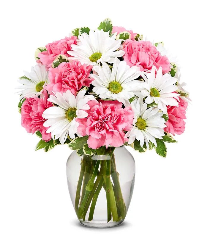 Delightfully Pink Daisy by Eric's Flower Market Delightfully Pink Daisy by Eric's Flower Market