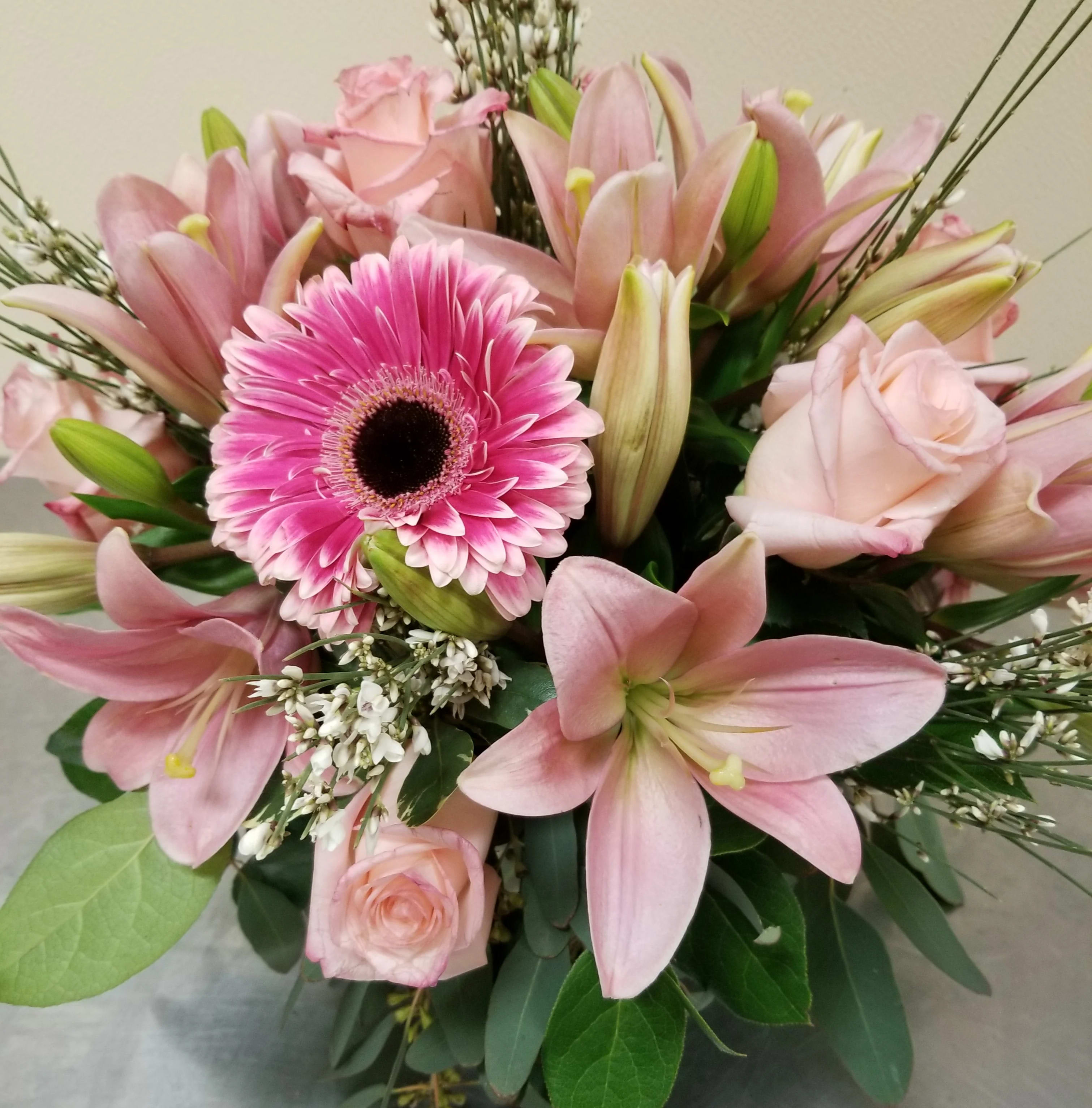 Genestra Flower | Best Flower Site