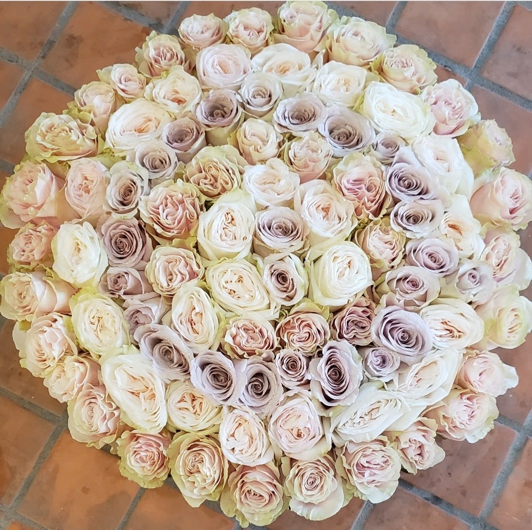 Pave Roses in New York, NY | Simpson & Company "the flower studio"