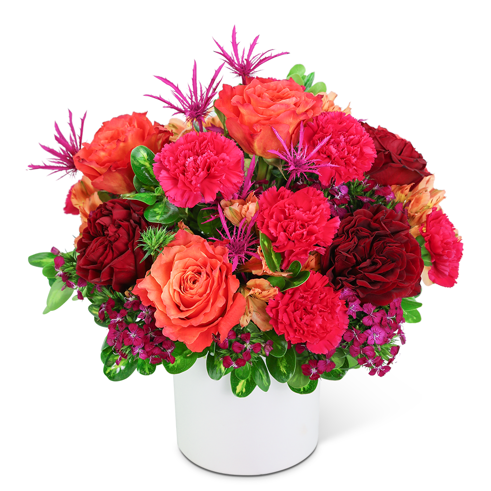 Luxe Paradise in Escondido, CA | Carousel of Flowers