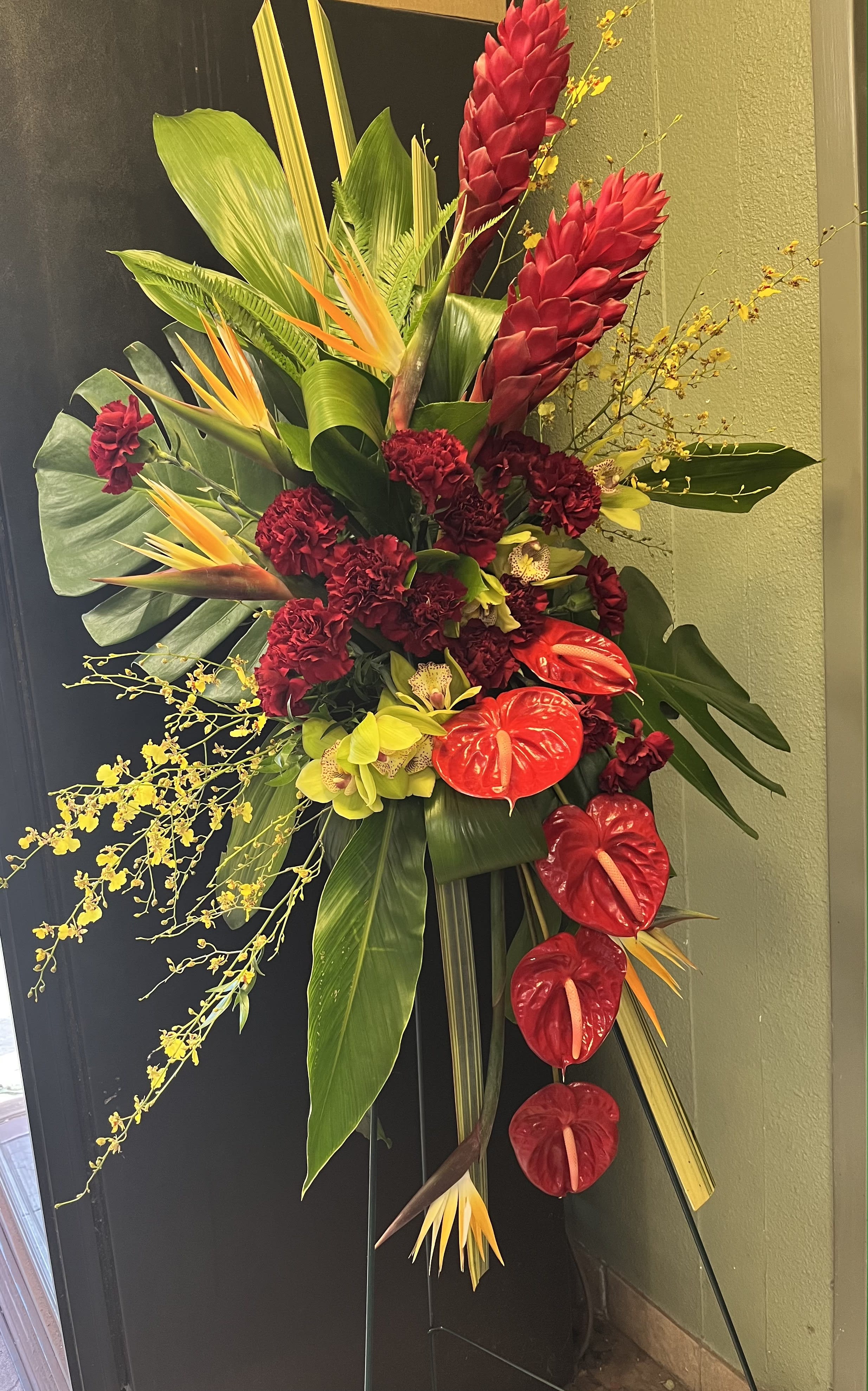 Tropical Spray by Hill Country Flowers