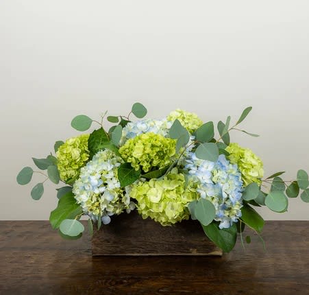 Hydrangea Box by Riverview Florist