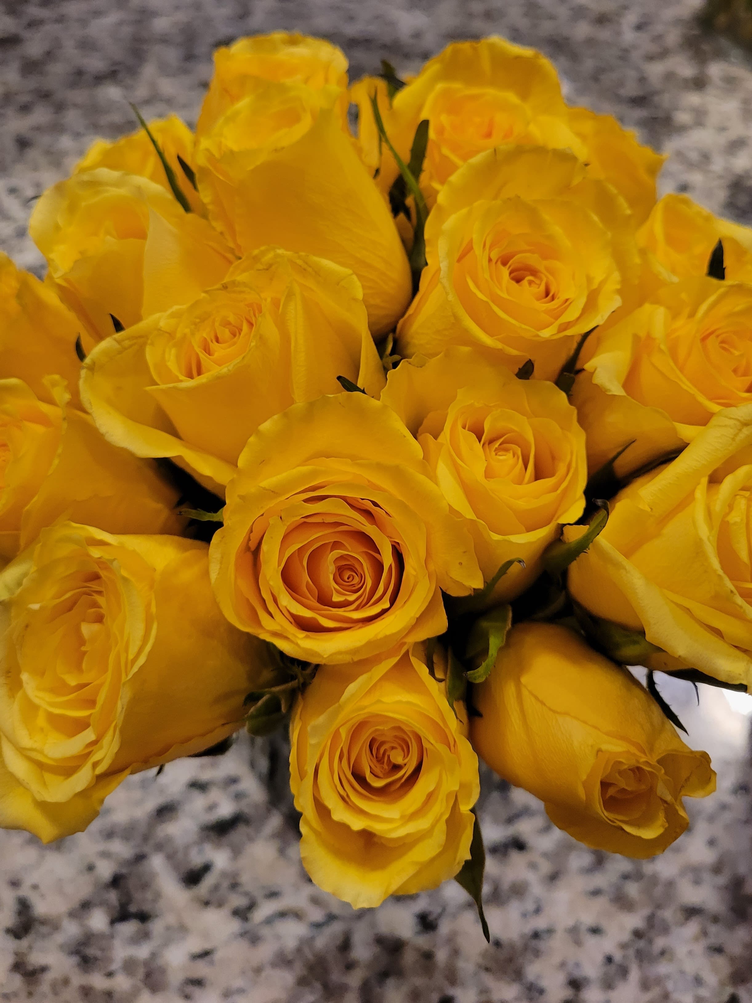 18 Yellow Roses by Pretty in Petals