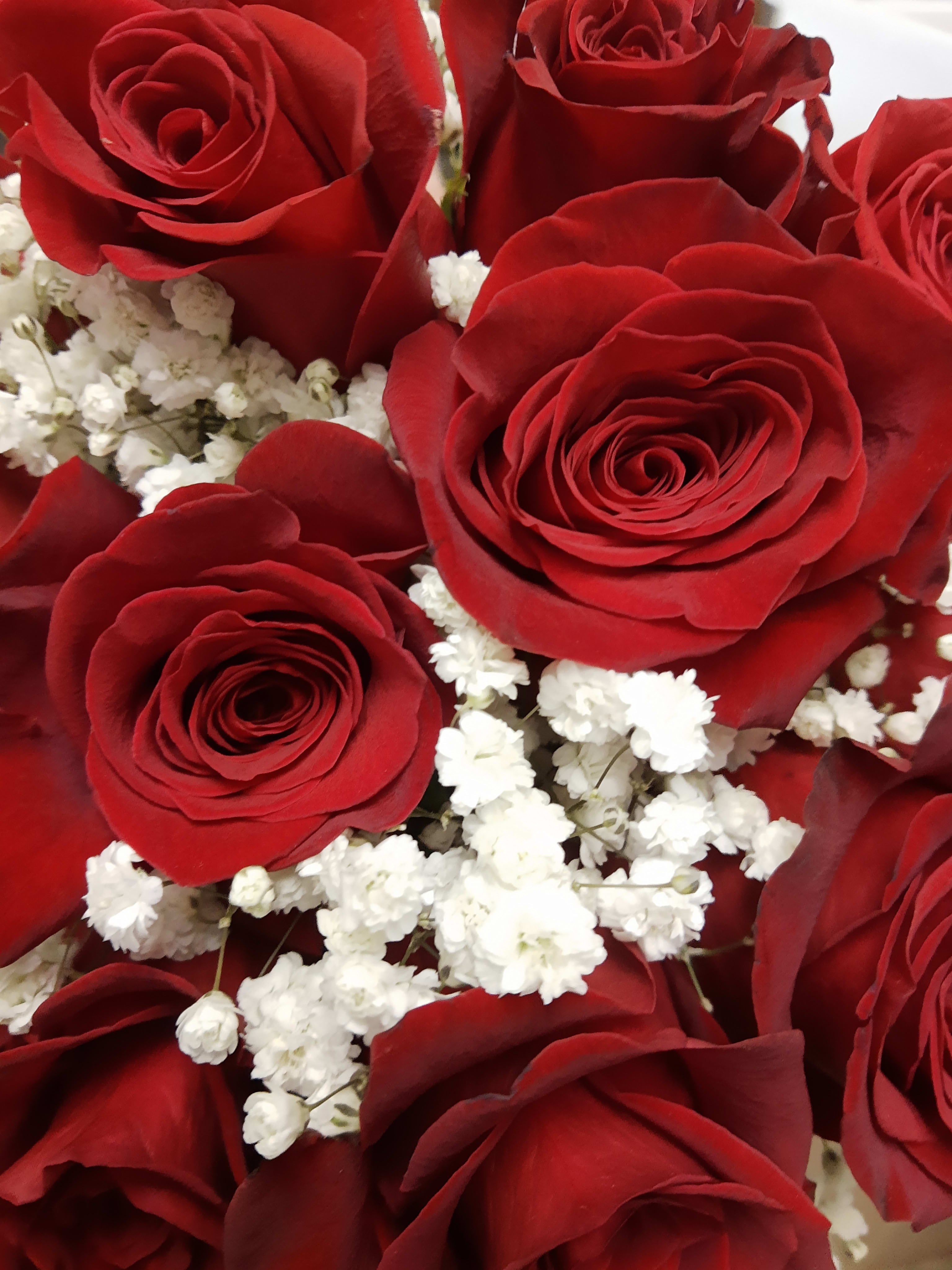 Wrapped Bouquet of Red Roses by Rosebud Floral & Giftware