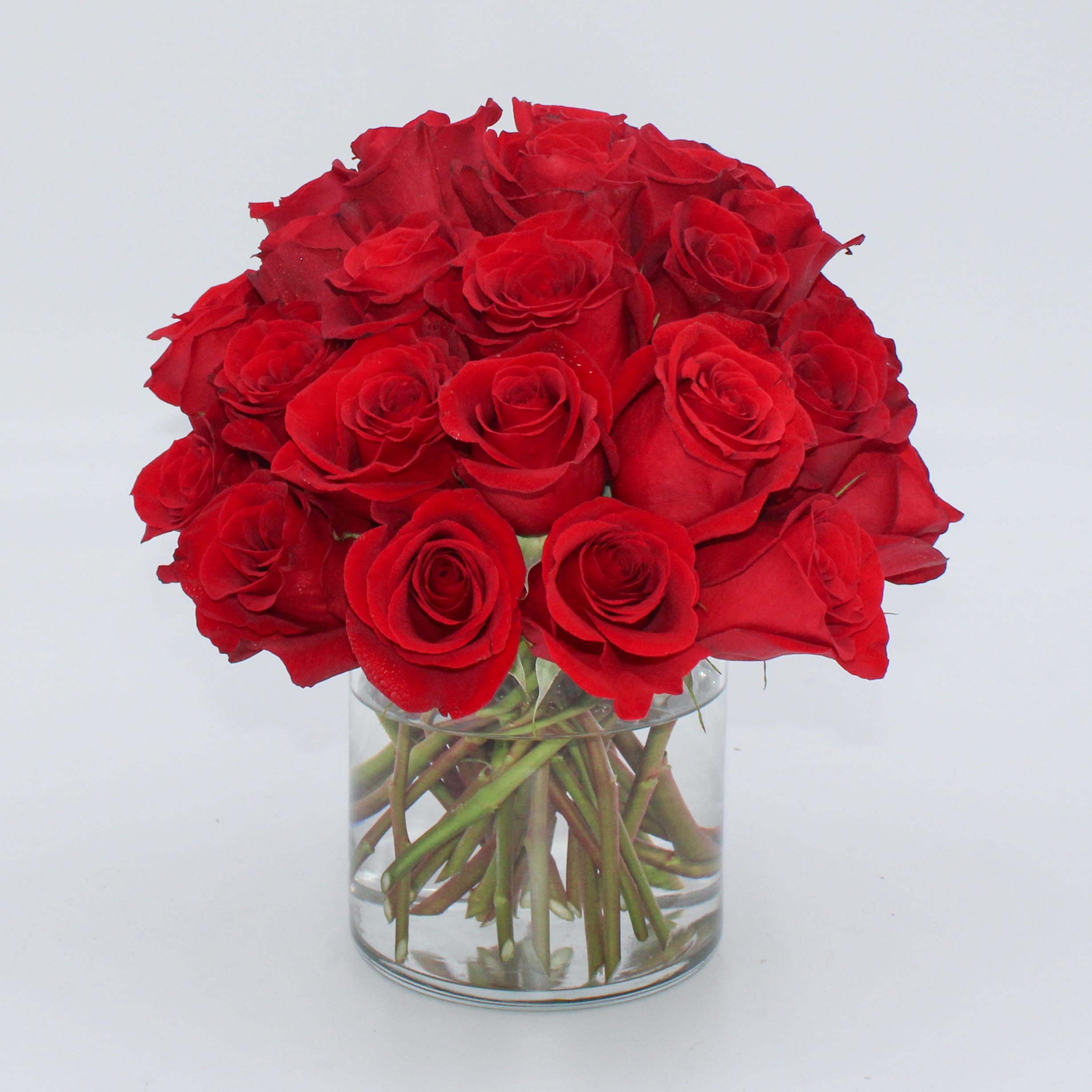 Three Dozen Red Roses in Red Bank, NJ | Fine Flowers