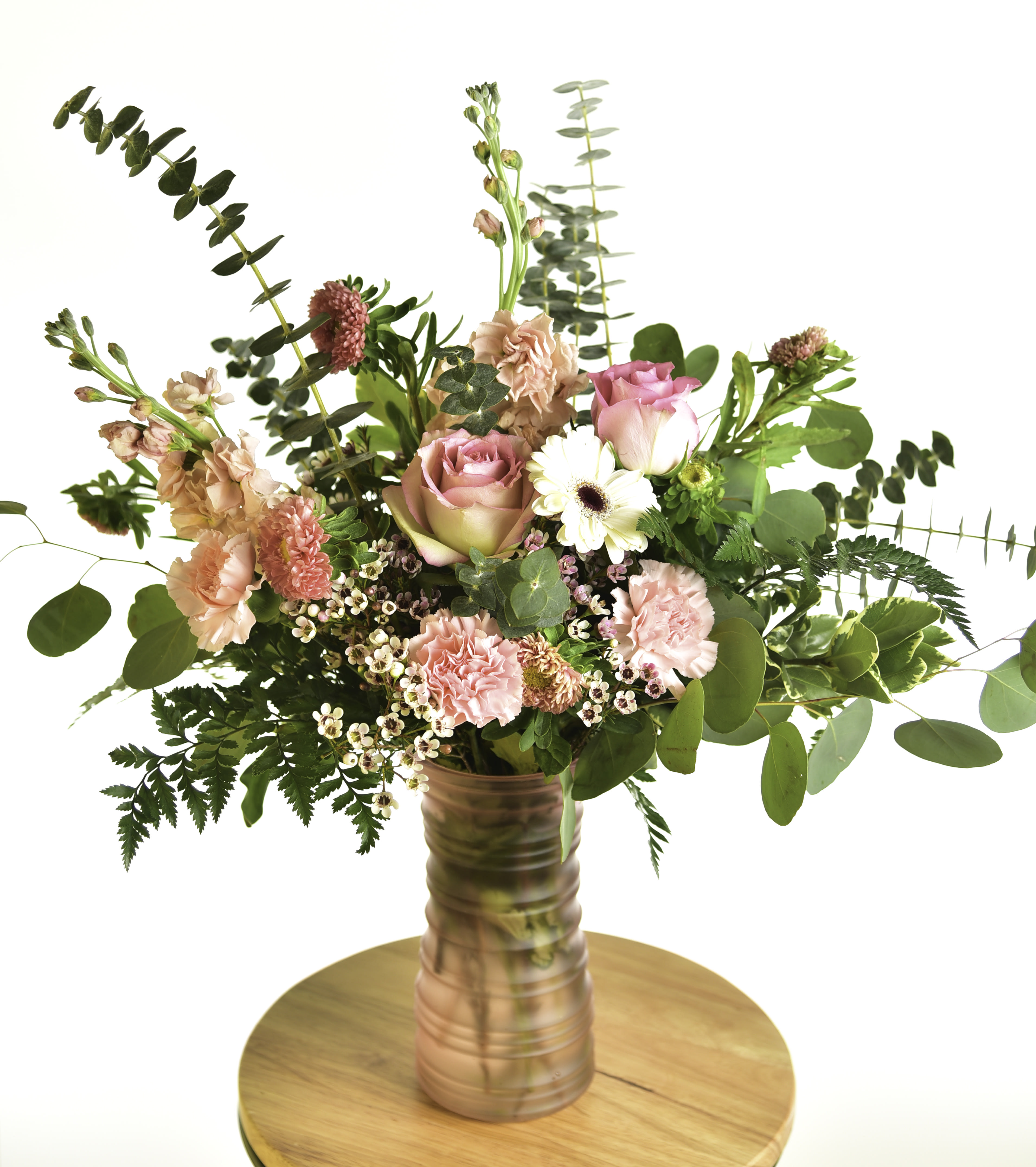 Blush Wax Flower | Best Flower Site