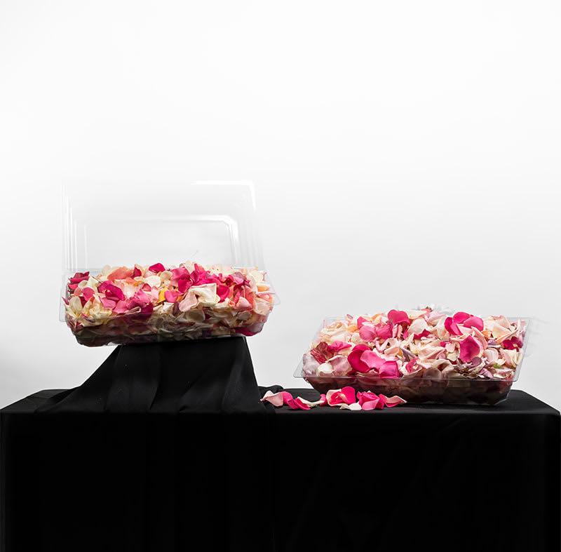 Rose Petals Box (2 Pounds) 5 day notice required in Honolulu, HI ...