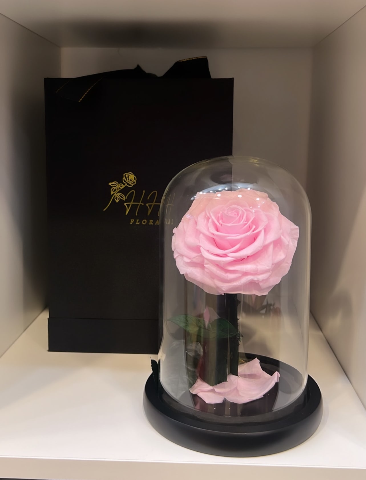 Pink Preserved Rose Dome by Huber Heights Floral