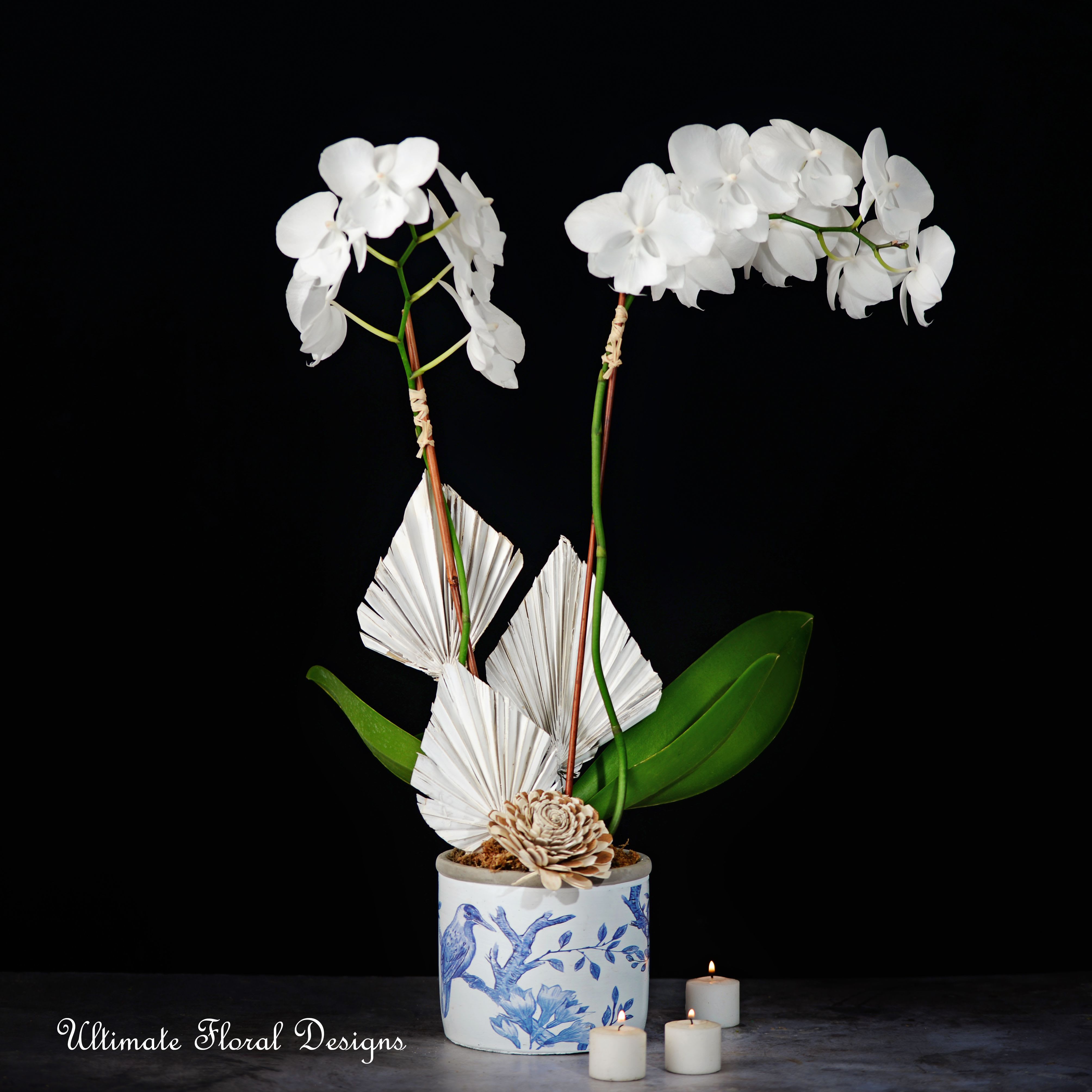 Vintage Orchid by Ultimate Floral Designs