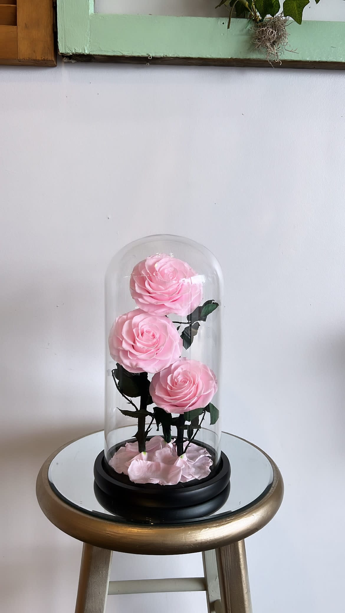 3 Everlasting Preserved Roses by Huber Heights Floral