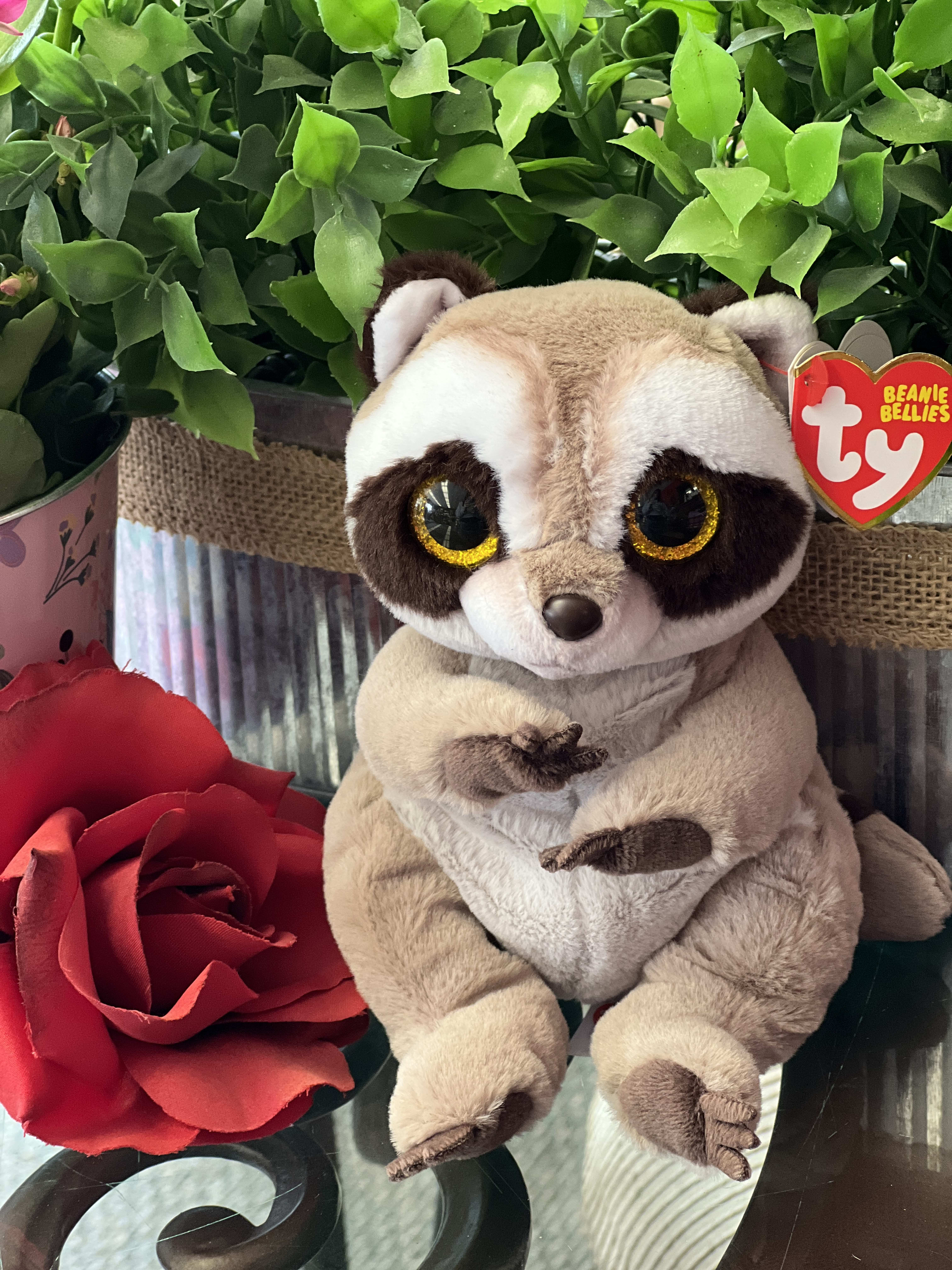 TY Beanie Bellie - "Petey" - Raccoon by Caldwell Floral