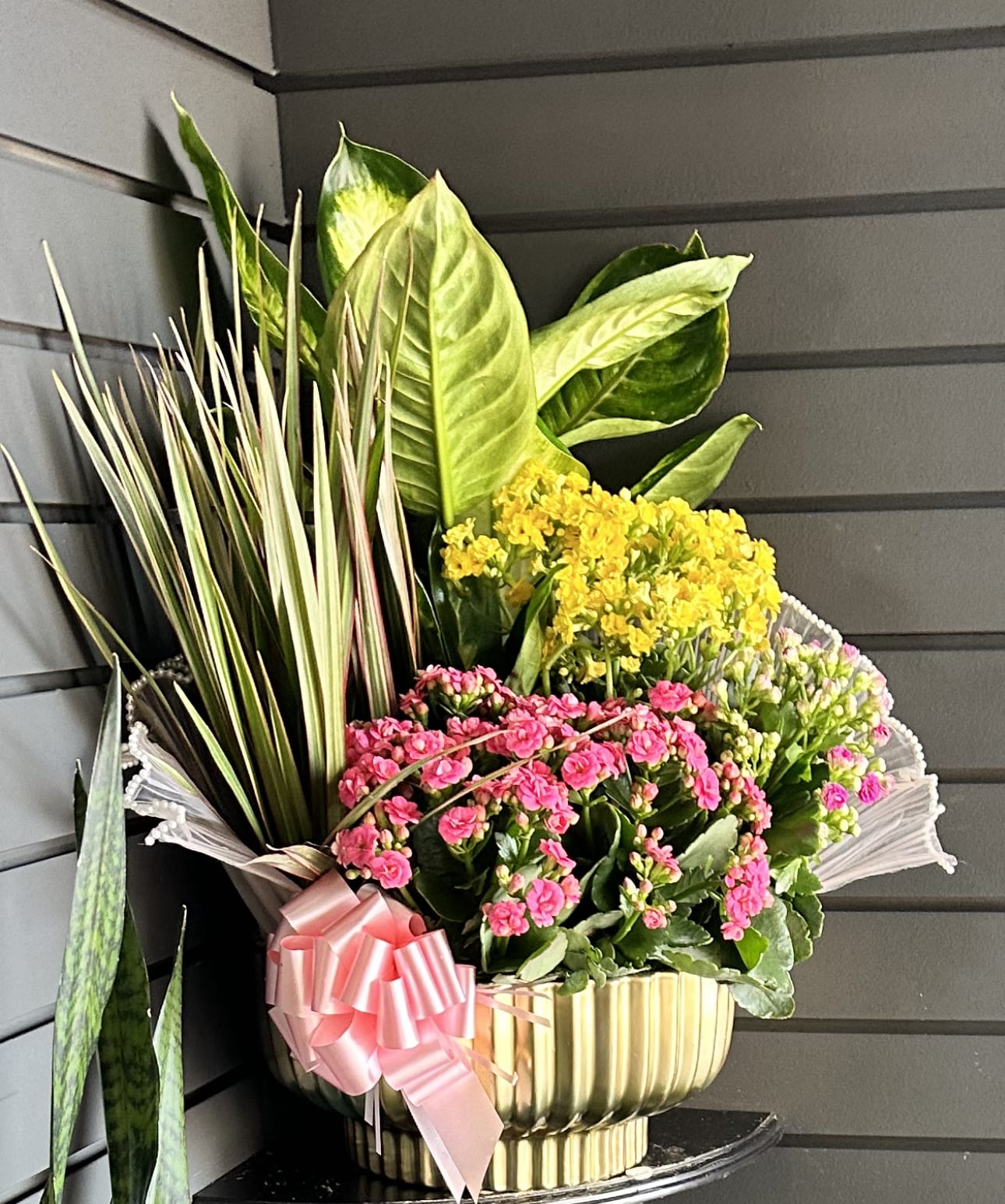 Large Ceramic Assorted Plant Dishgarden by Infinity Floral Designs