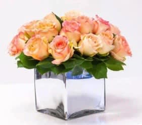 Light Pink Roses Squared by My Boutique Florist