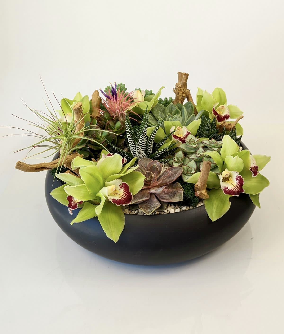 Succulent Container Arrangements: Stunning Succulent Displays. - Growin ...