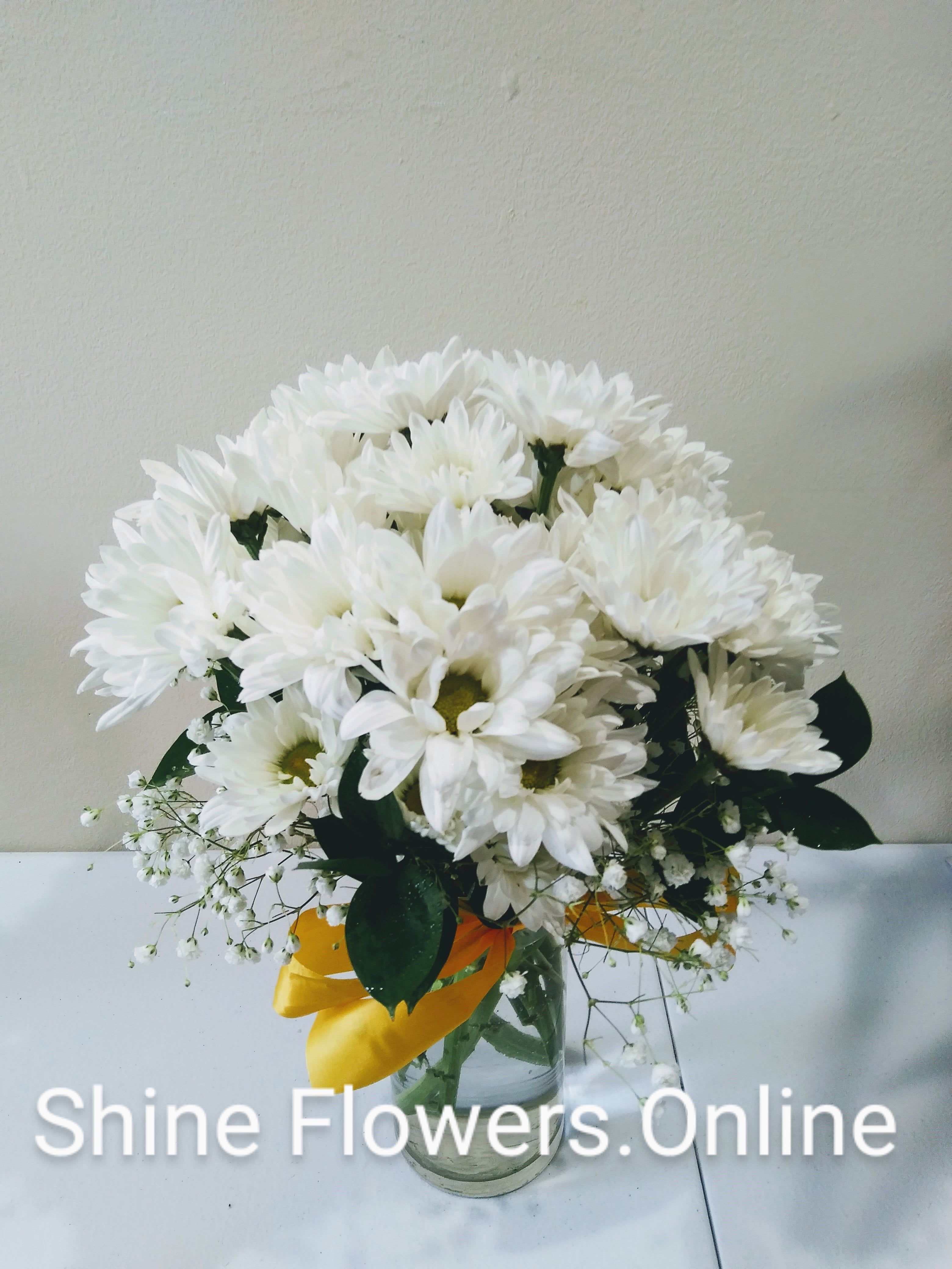 Dreaming Of Daisiesby Shine Flowers