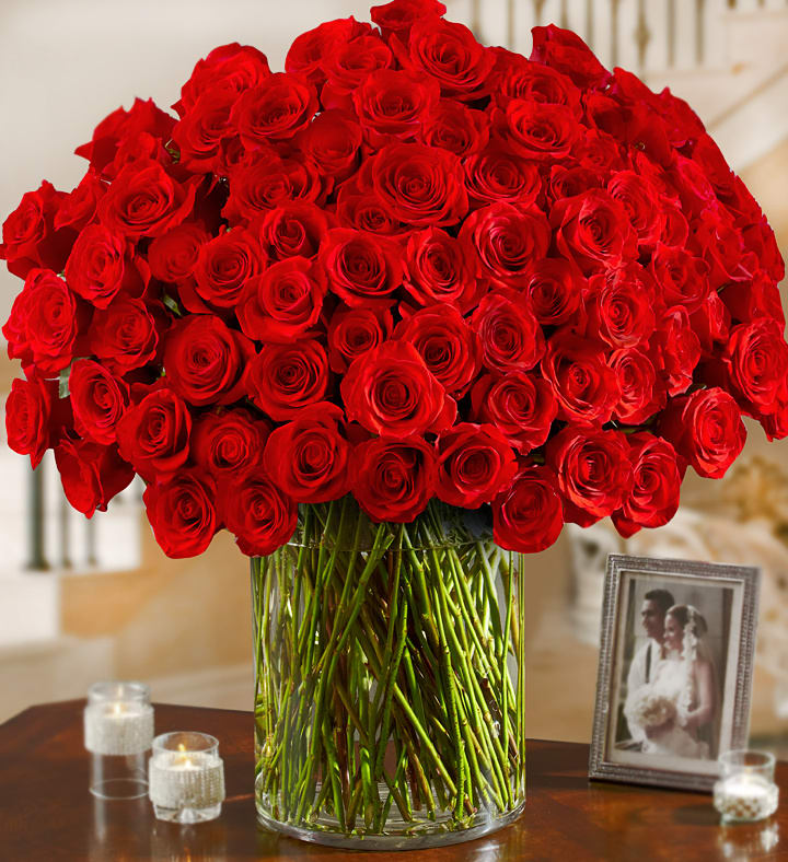 Ultimate Elegance 100 Red Roses by Rose Velt Florist