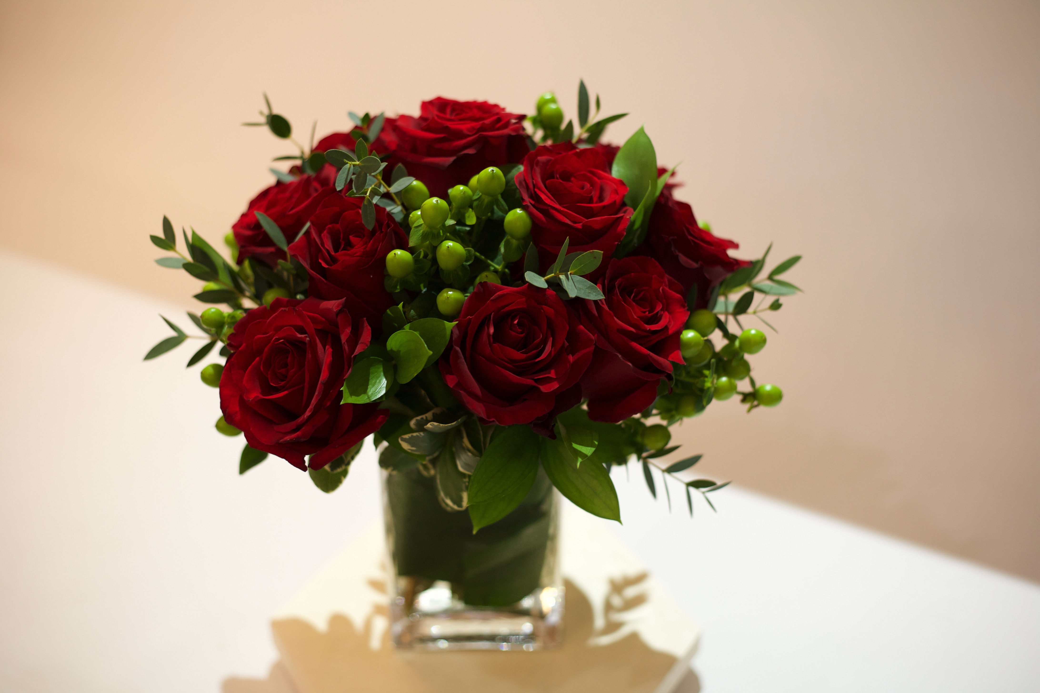 Compact & Modern Roses by the Dozen by Opalia Flowers