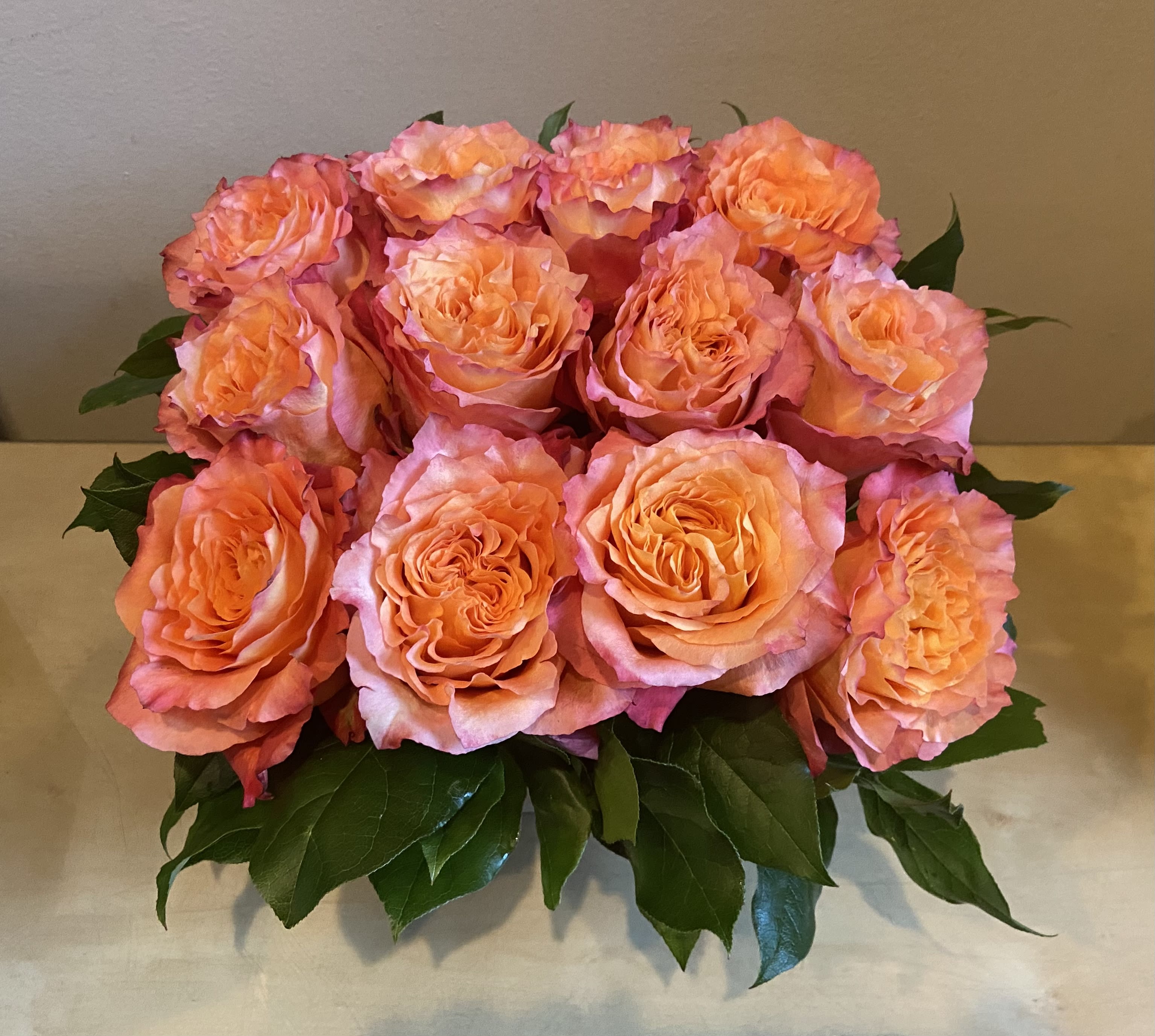 Meadow Rose