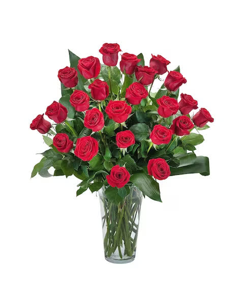 Grande Roses - 2 Dozen Rosesby Timeless Blossoms