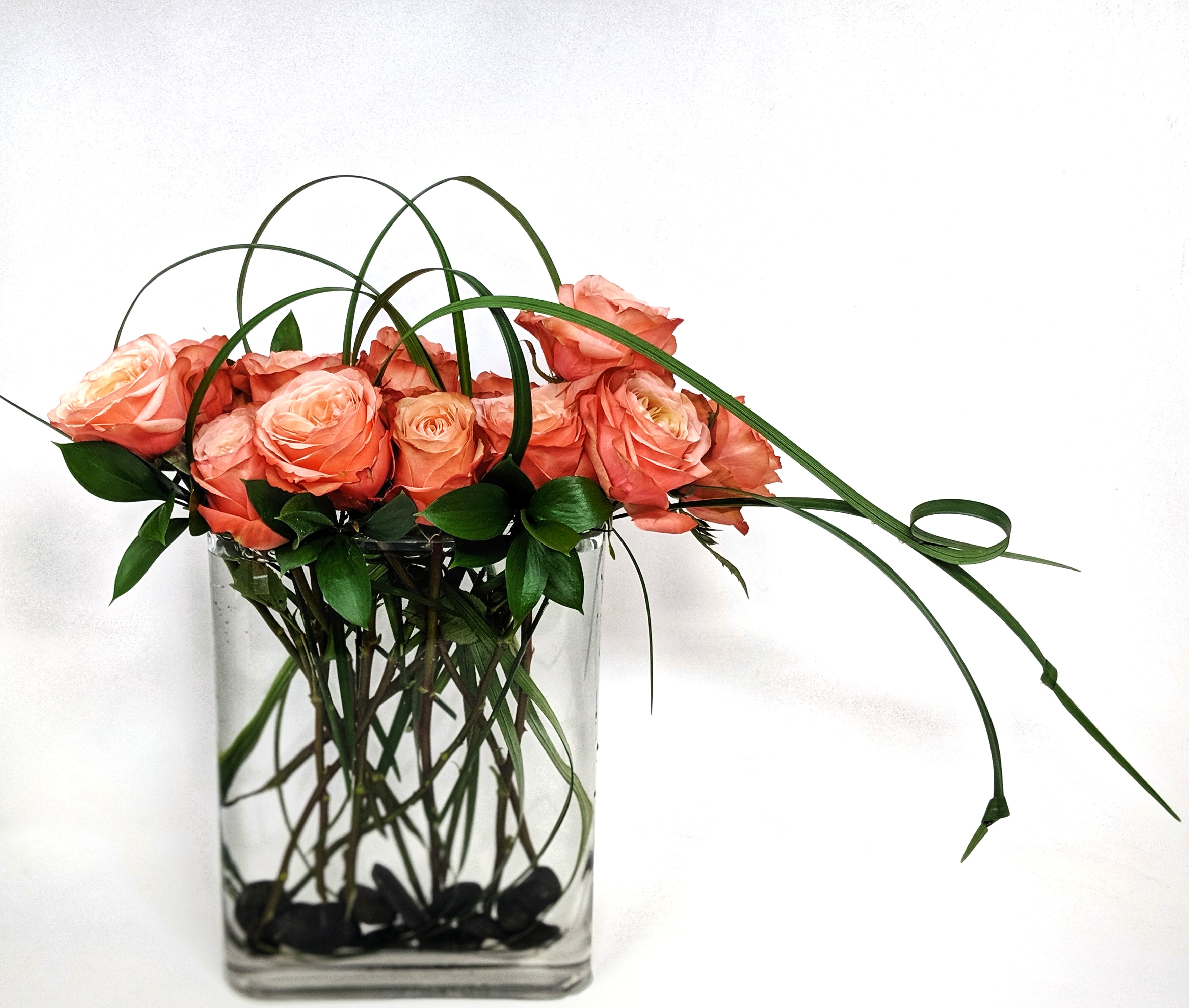 Modern Dozen by R Bloom's of Lake Oswego