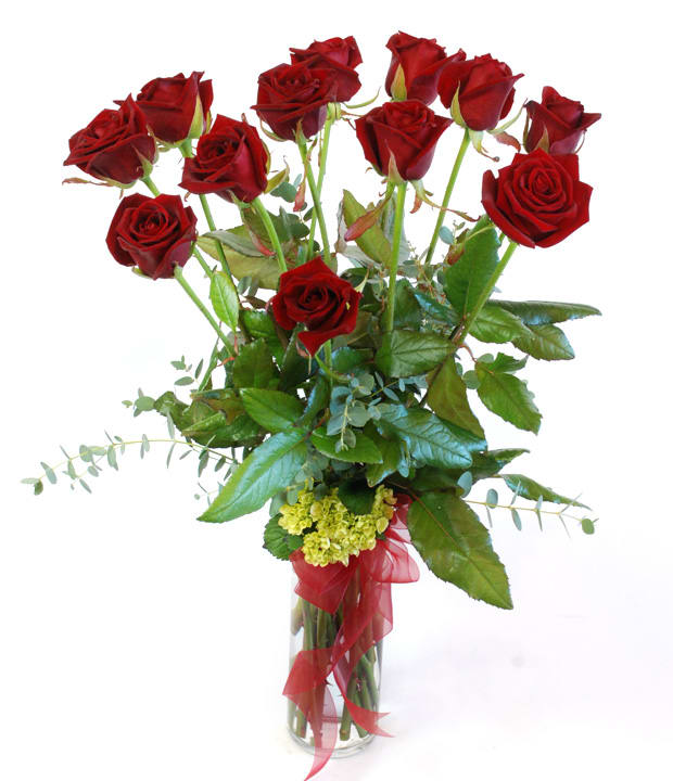 Classic Long-Stemmed Roses in Woodbury, MN | Woodlane Flowers