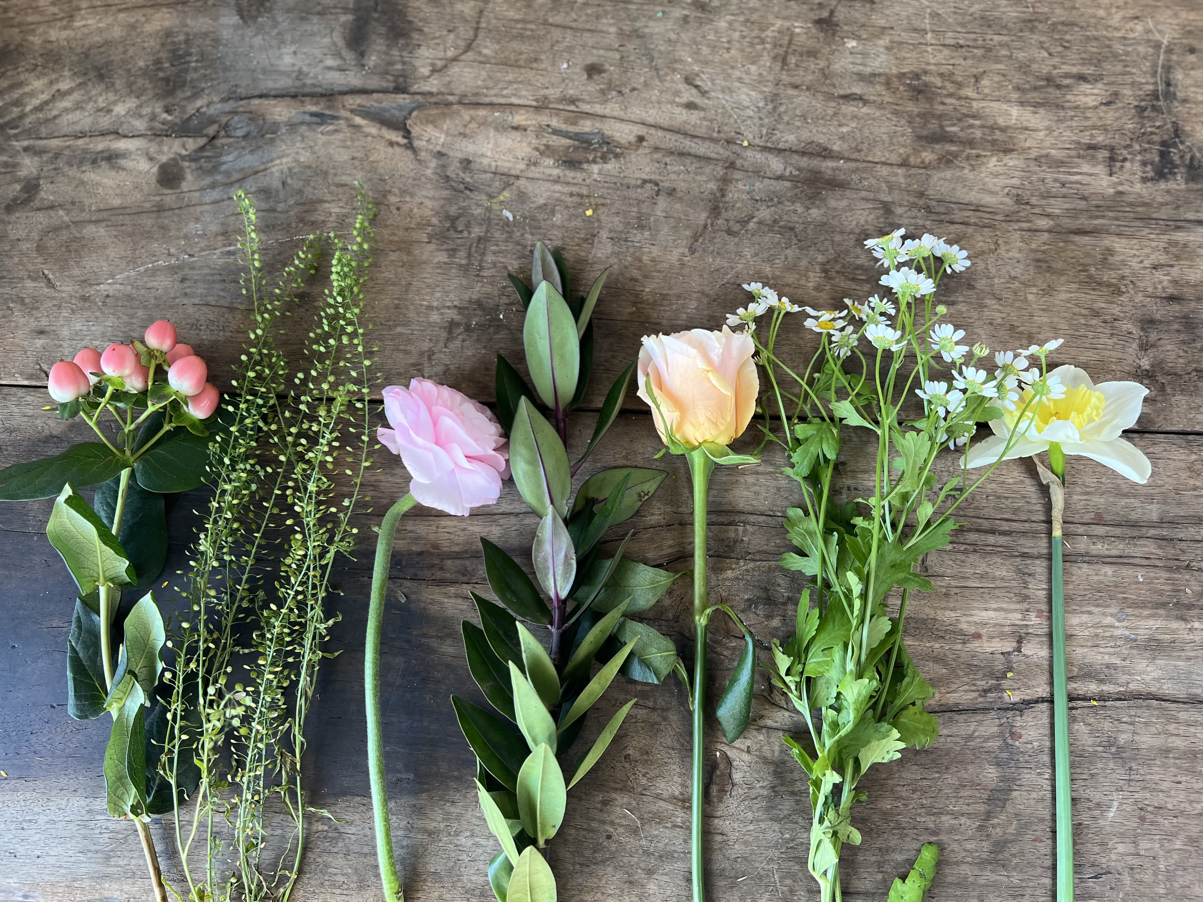 Bloom Bundle by Isha Foss Design