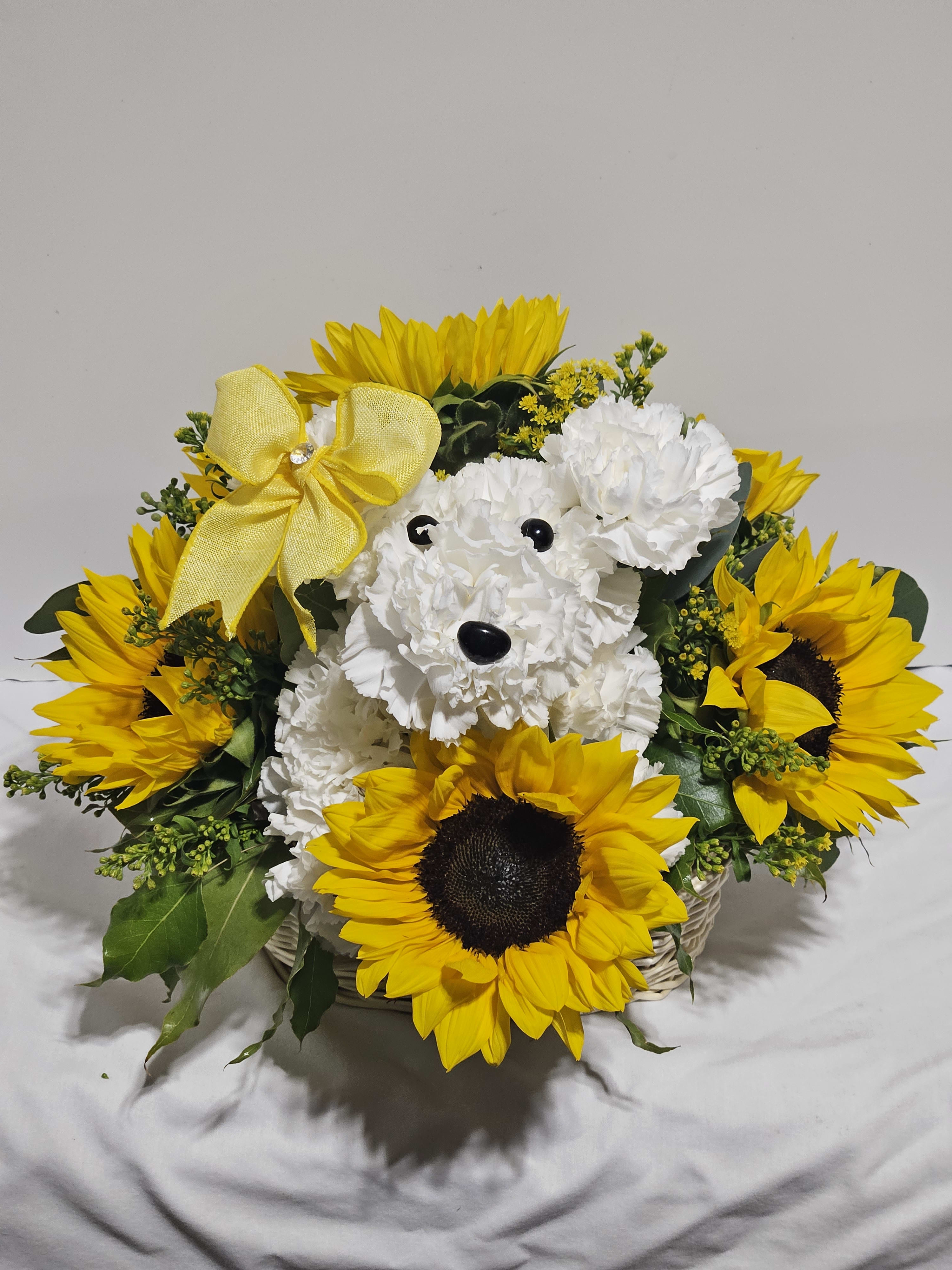 SUNNY PUP in Tucson, AZ | Flowerbee SUNNY PUP in Tucson, AZ | Flowerbee
