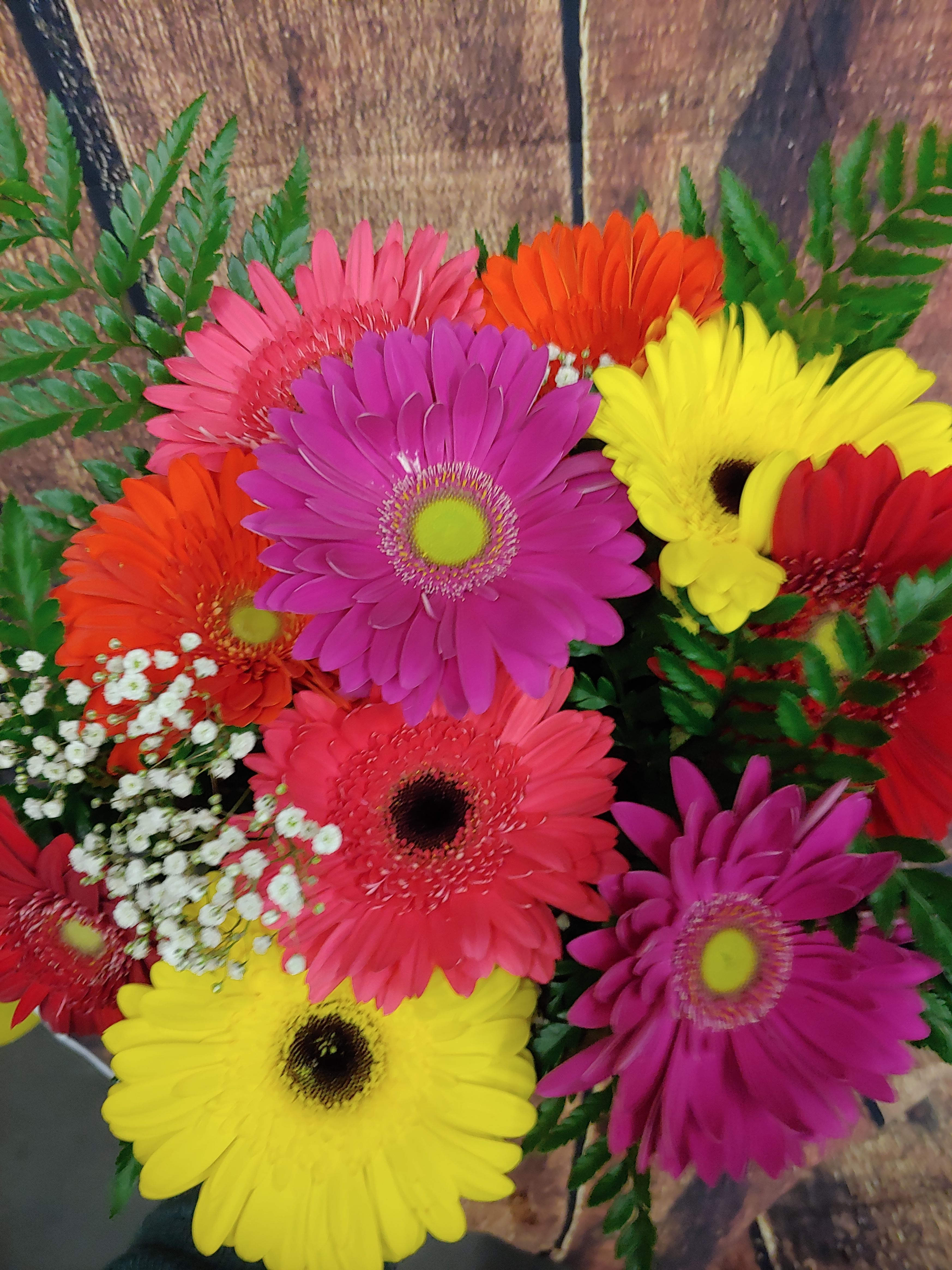 Gerbera Daisy Bouquet in Barrie, ON | Wild Lotus Floral Design