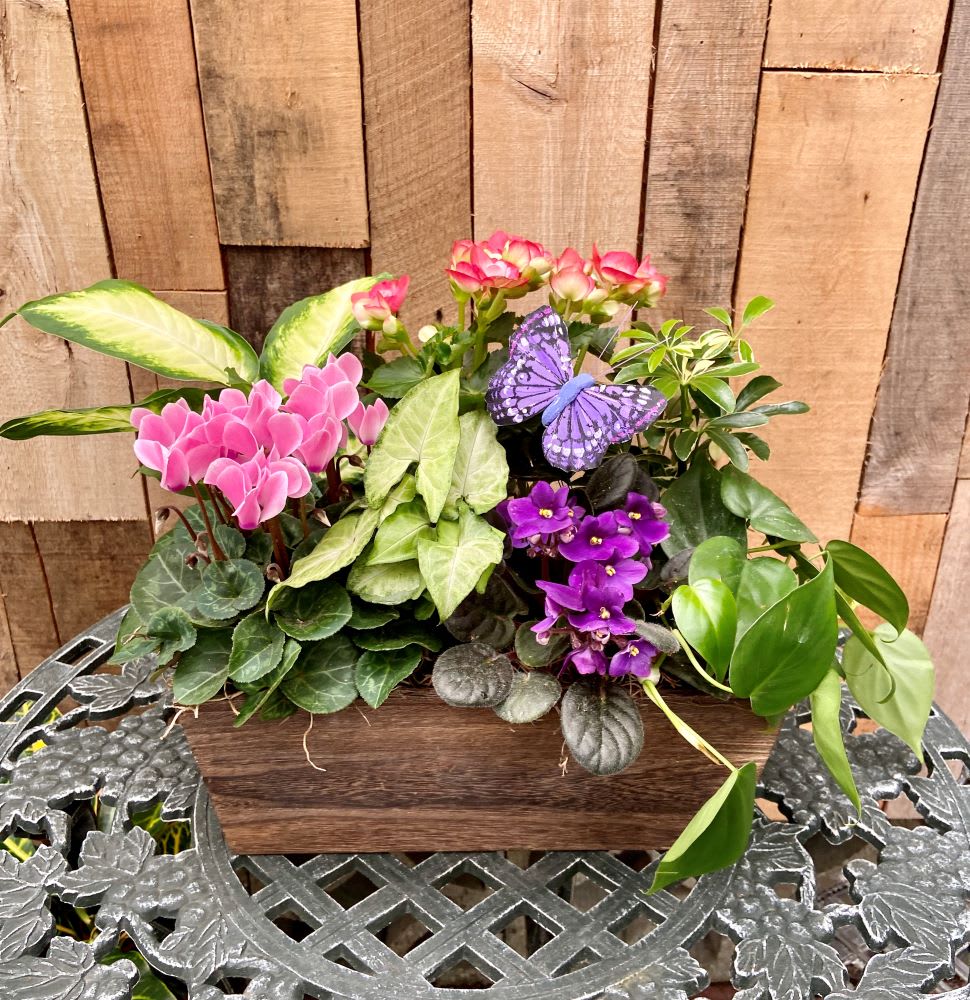 French Garden Planter by Kremp Florist