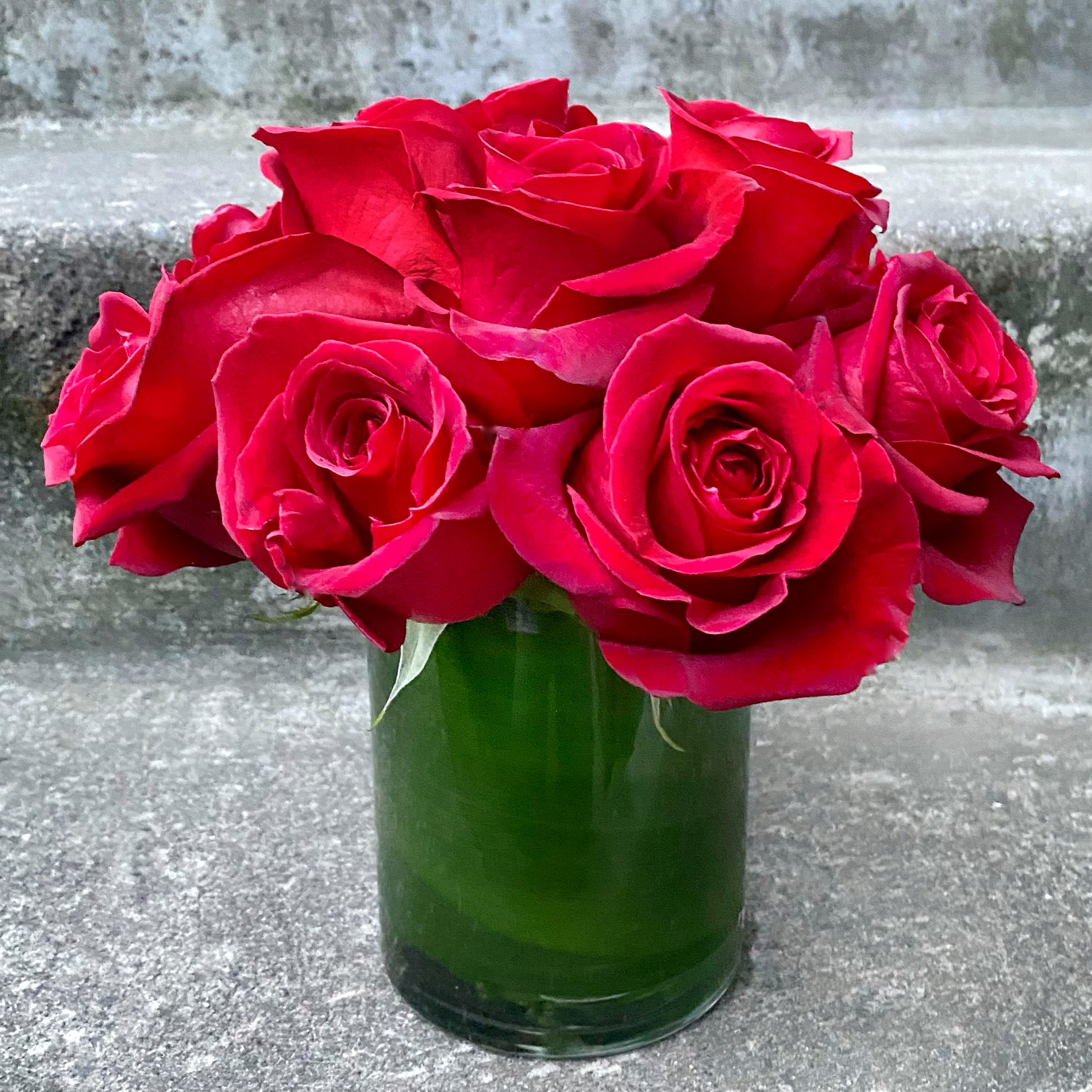 One dozen classic red roses in Seattle, WA | Fiori Floral Design