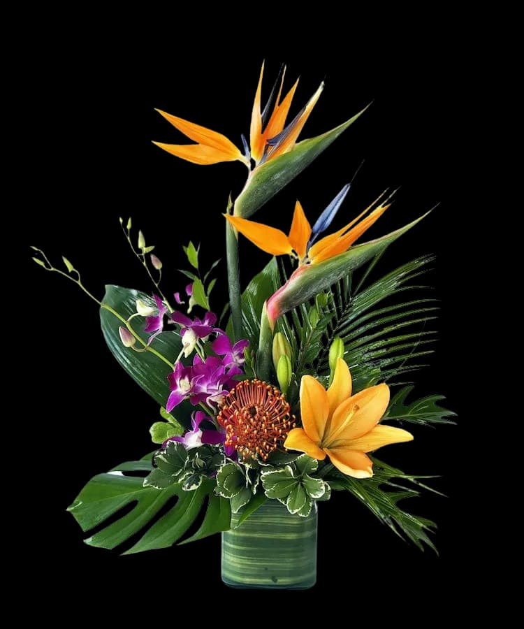 Tropical Splendor Bouquet by Infinity Floral Designs