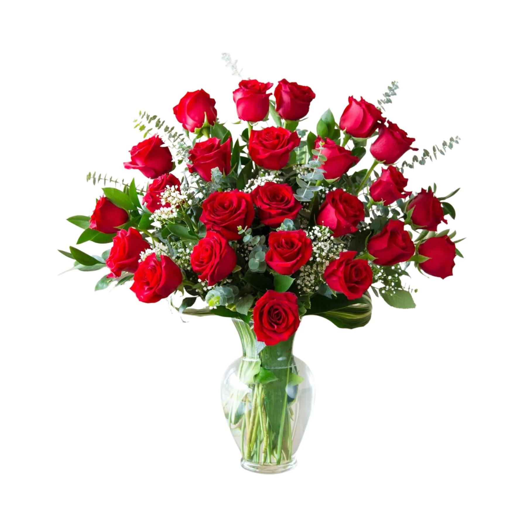 2 DOZEN CLASSIC RED ROSES by Marina Luxury Roses