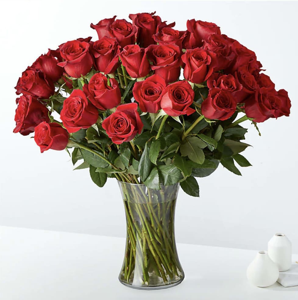 50 Standard Red Roses by Huber Heights Floral