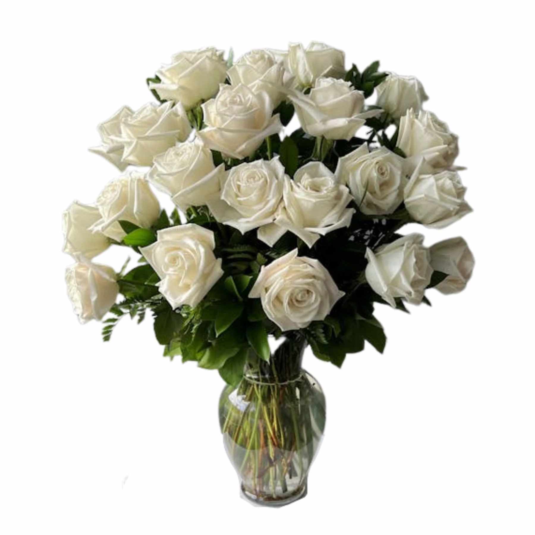 2 DOZEN CLASSIC IVORY WHITE ROSESby Marina Luxury Roses