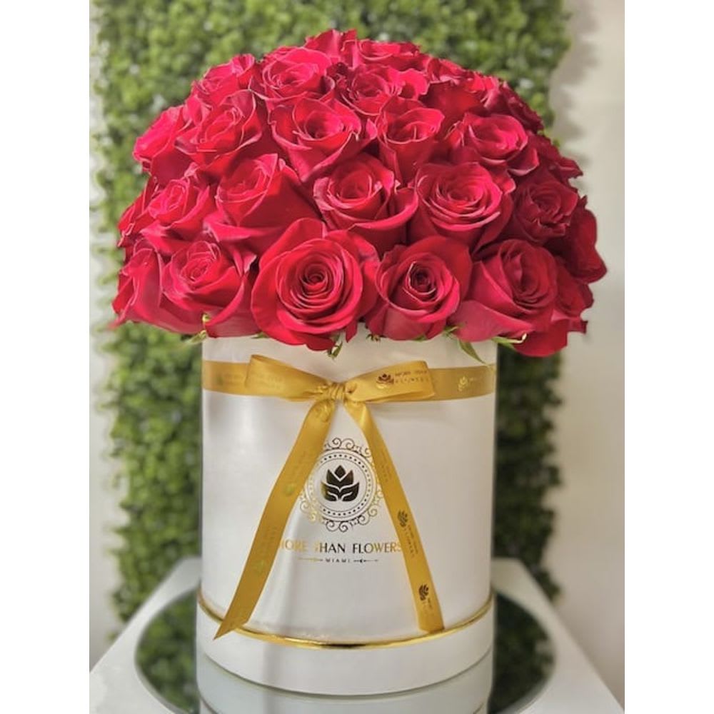 Rose Dome Round Box - White Box, Red in Miami, FL | More Than Flowers
