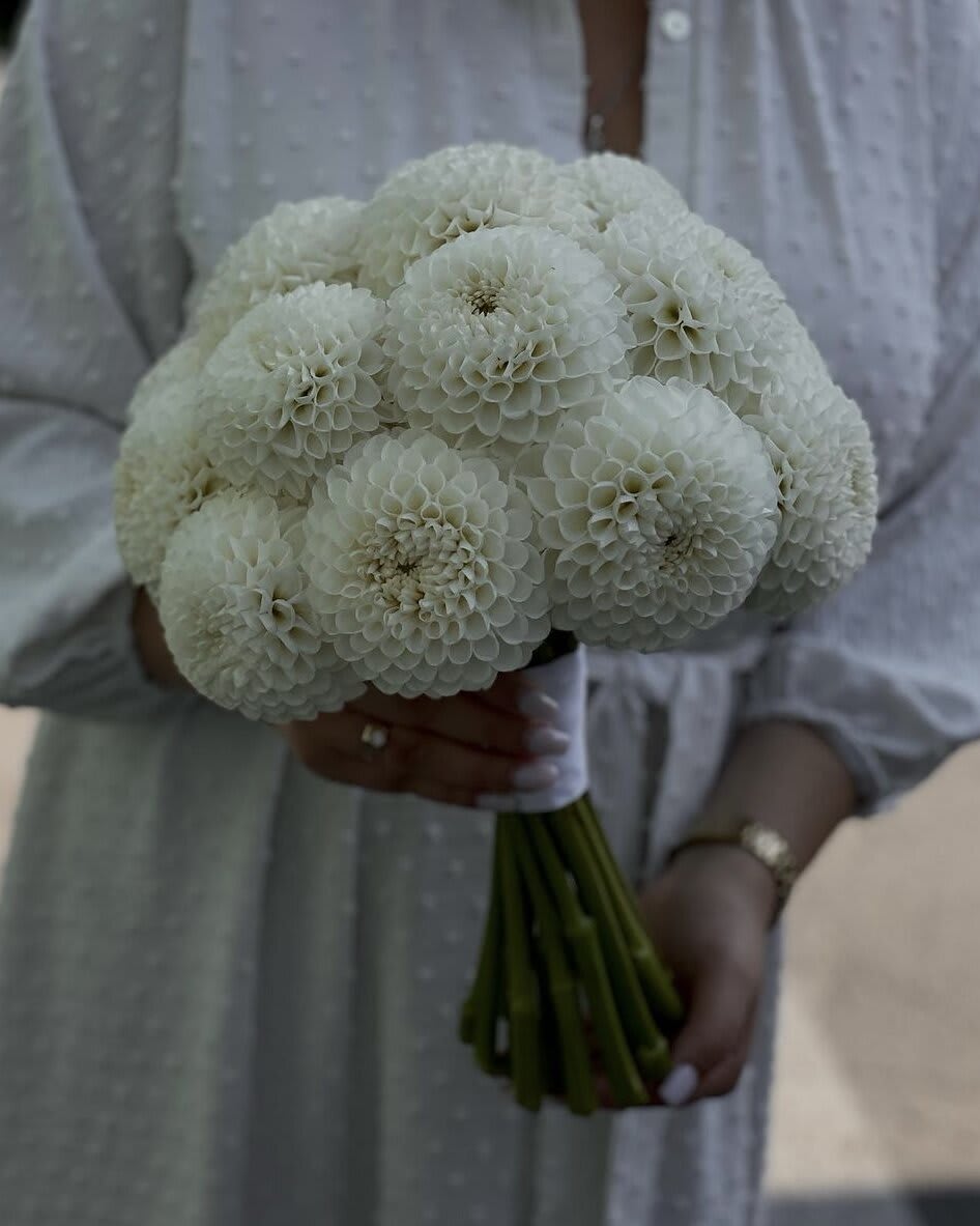 Lacy Tenderness | WCby Euphoria Bouquets